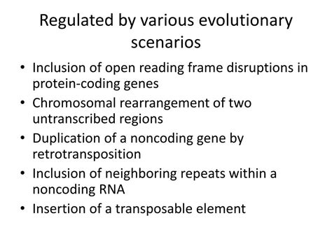 Ppt Long Non Coding Rna Powerpoint Presentation Free Download Id 2077700