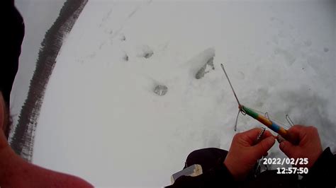 Reetik Roboflow Universe