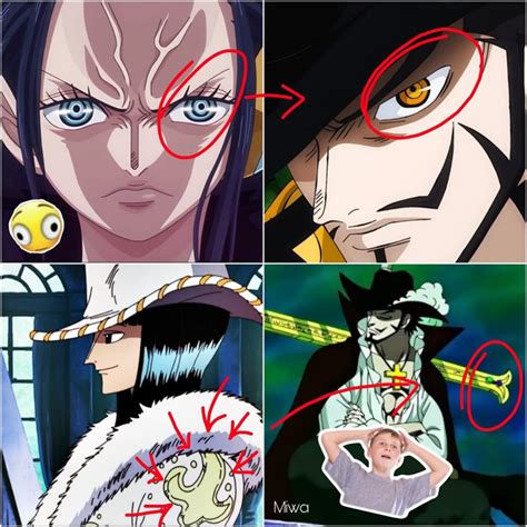 ما هذا يا اودا 👀؟ ـ Mihawk And Robin Nel 2025 Arte Delle Anime Foto