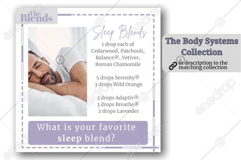 Sleepy Time Diffuser Blends By Amy Wheeler