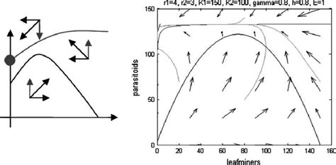 Phase Plane And The Direction Field For Case I Download Scientific
