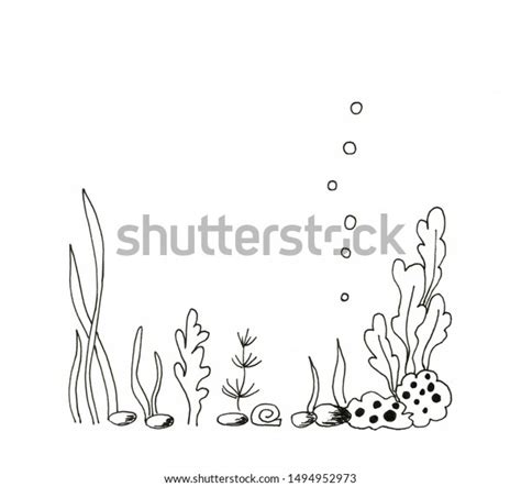 Simple Algae Drawing