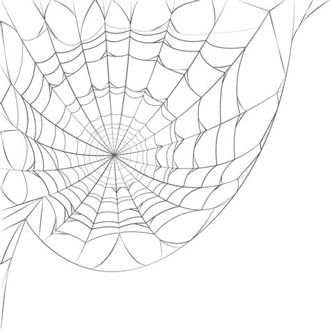 Spider Web Background Clipart Cute Spider Web Vector Art Icons And