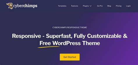 What Is Cyberchimps Responsive Theme An Ultimate Guide