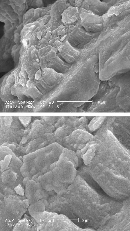 Sem Pictures Of Compound Fertilizer Pellets Download Scientific Diagram
