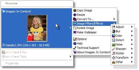 Images In Context Download