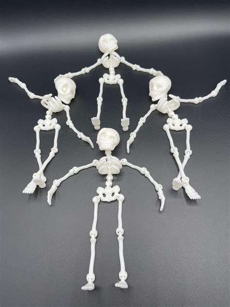 Flexi Skeleton Articulated Flexi Factory Authorized Seller Etsy