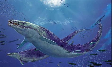 Basilosaurus Cá Voi Tiền Sử Khổng Lồ đầu Tiên