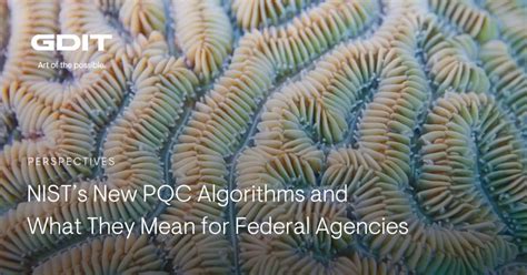 Nists New Pqc Algorithms And What They Mean For Federal Agencies Gdit