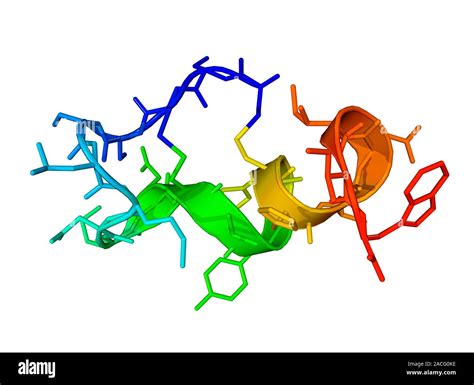 Endothelin 1 Molecule Computer Model Showing The Crystal Structure Of A Molecule Of The Protein