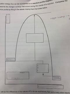 Simple Collision Theory Activation Energy Diagram Quizlet