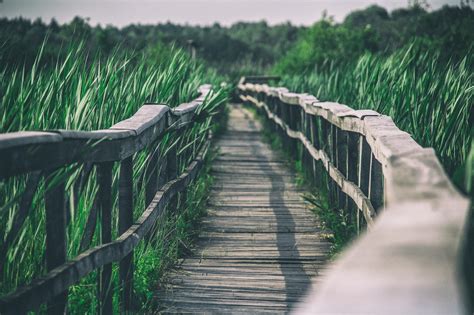 the dual paths of leadership immediate gratification vs long term