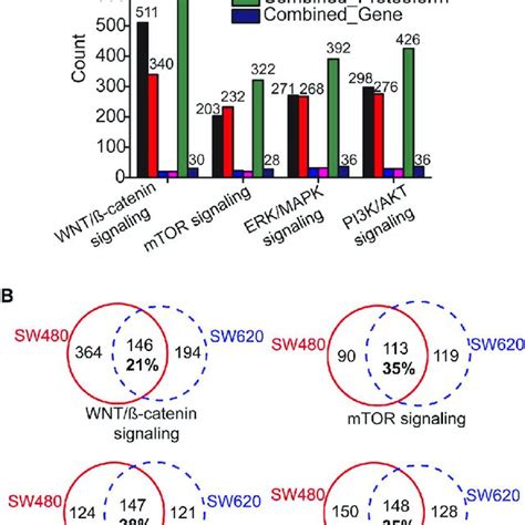 Summary Of Proteoforms From Genes Involved In Well Known Crcrelated Download Scientific Diagram