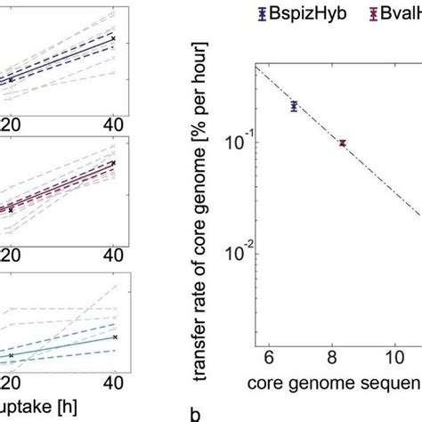The Transfer Rate Depends Exponentially On The Average Sequence