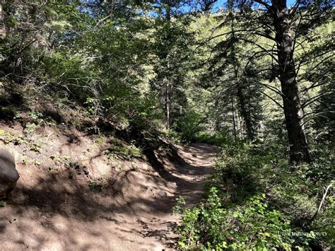 Pine Hollow Loop Utah Hiking Beauty