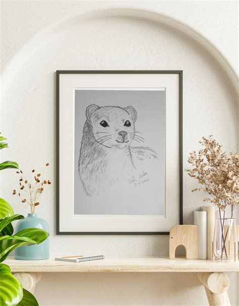 Pencil Drawing A Stoat Etsy