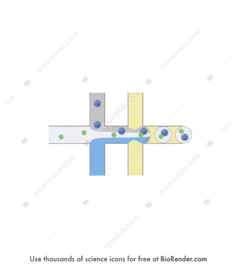 Free Single Cell Sequencing Icons Symbols And Images Biorender