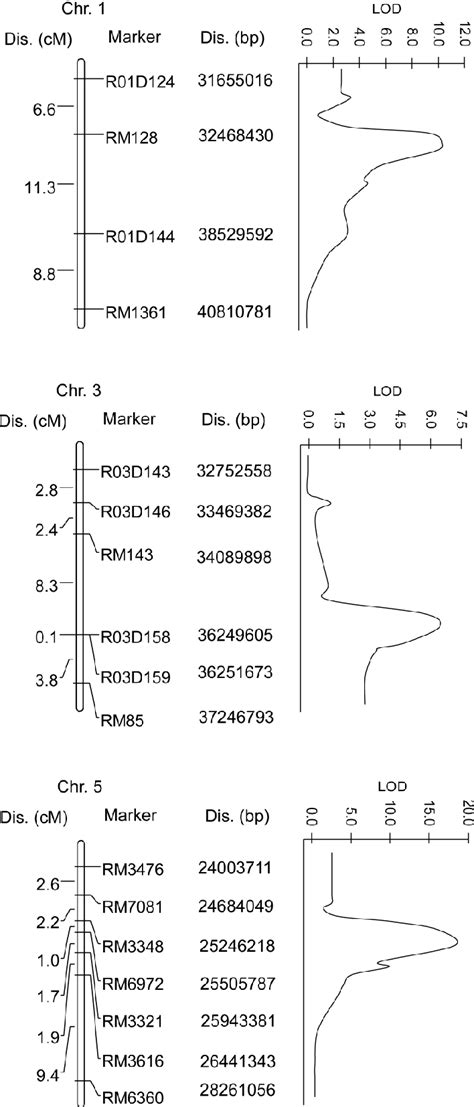 Figure 6 From Quantitative Trait Loci Mapping For Bacterial Blight Resistance In Rice Using