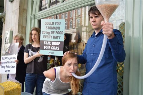 Media Vegan Feminist Network