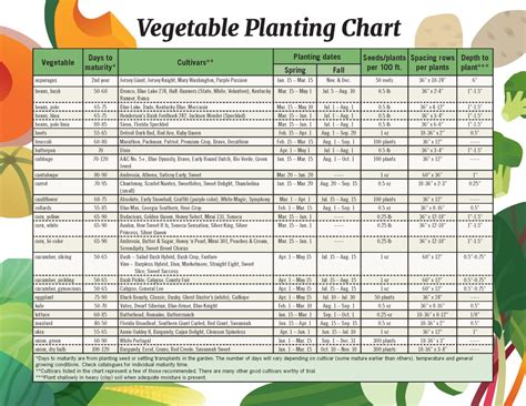 Fall Vegetable Garden Ideas Paulding Vine