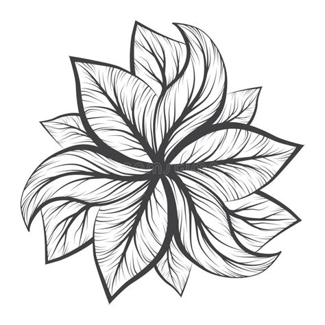 Abstract Eco Theme From Black And White Leaves Stock Vector