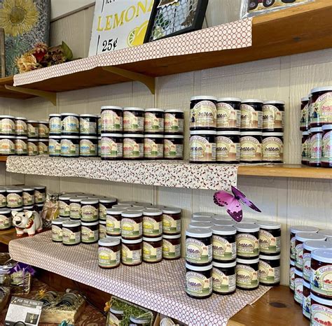 Gizdich Ranchでいちご狩り ~u Pickフルーツ狩りパイおすすめ農園時期watsonvilleカリフォルニア