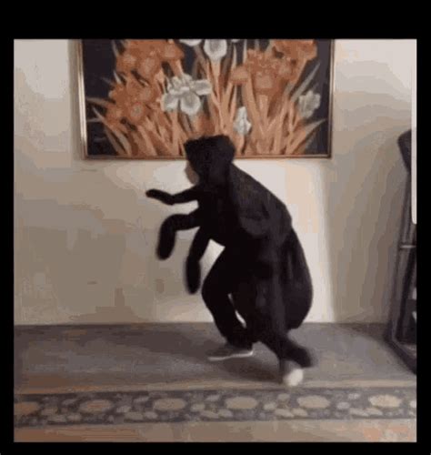 Dancing Spider  Dancing Spider Discover And Share S