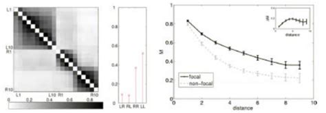 Left Spatial Distribution Of The Measure M For A Case Of Correct