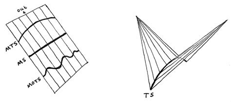A Null Plane Containing Marginally Trapped Minimal And Marginally Outer Download Scientific