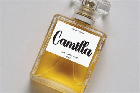 Annabelle Script Typeface Download Fonts