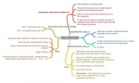 Cell Structure Coggle Diagram