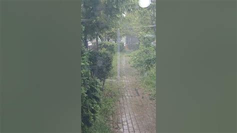 강릉 물절약현수막 갈색우산 가뭄 해소되길~~ Youtube