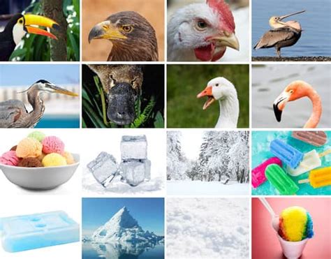 Ablls R B18 C38 Sort By Feature And Select By Feature By Everyday Bcba