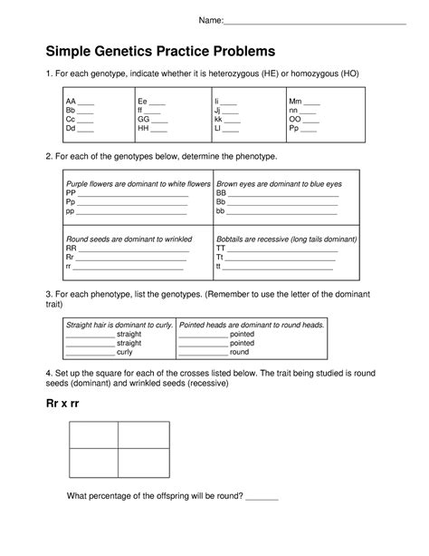 Simple Genetics Practice Problems For Each Genotype Indicate Whether