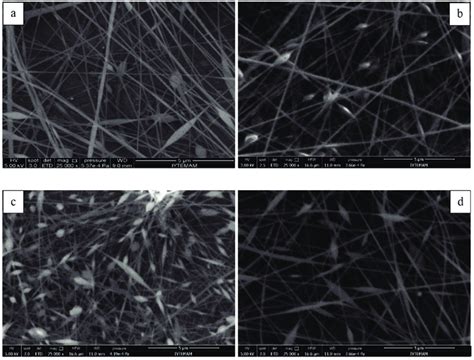 Sem Micrographs Of Pan Ppy Cnt Electrospun Nanofibers Containing 10 Wt Download Scientific