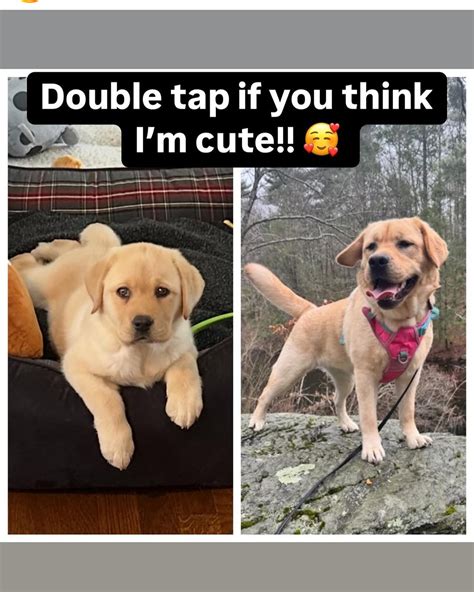 Phoebe Phoebecakes1204 • Instagram Photos And Videos