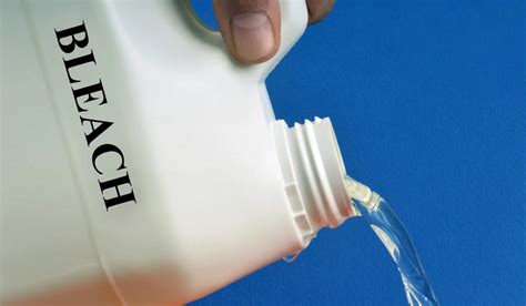 Is Bleach An Effective Flea Killer Simple Pest Management