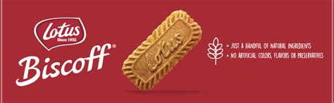Lotus Biscoff Galletas De Galletas Caramelizadas 144 Galletas 12