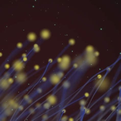 Deepak Kumar On Linkedin The Environment Is The Greatest Luxury