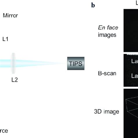 Depth Imaging With Full Field Spectral Domain Interferometer A
