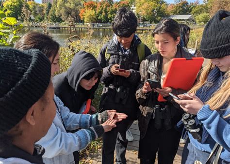 Quality Standards Stem Push Network