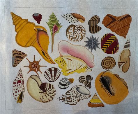 Assorted Shells Whats The Point