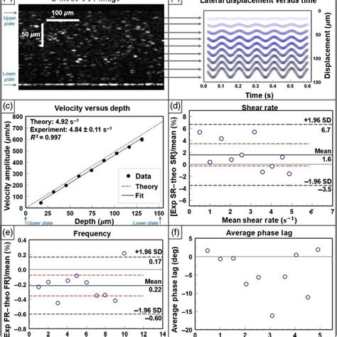 Spectral Domain Oct System Schematic Download Scientific Diagram