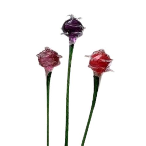 Glass Rose Museum Of Glass