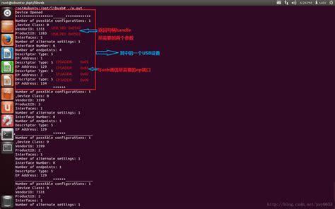 虚拟机linux访问usb设备，通过libusb库方法实现读写usb设备所获取的实时图像数据linux Api 读取pid Vid Csdn博客
