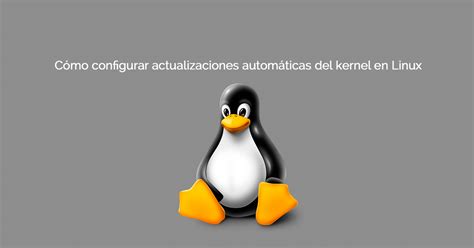 Cómo Configurar Actualizaciones Automáticas Del Kernel En Linux • Extassis Network Tutoriales