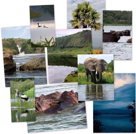 Ugandas Wonderful Great Lakes