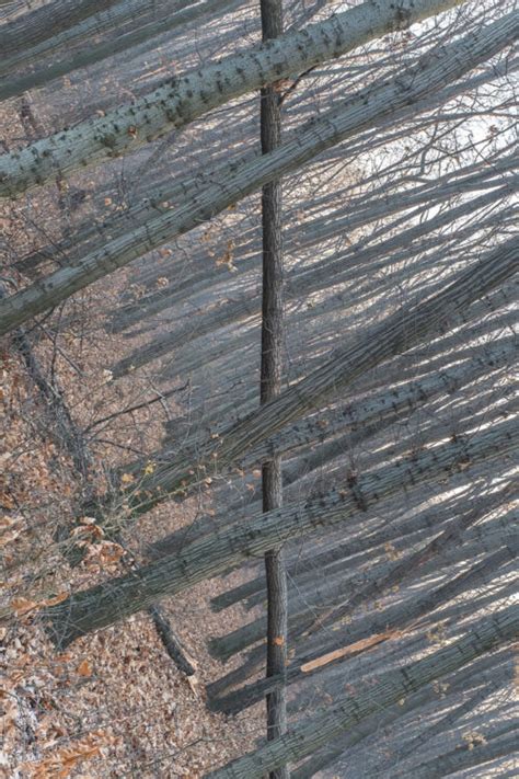 Denis Cherim — 0 1 Gallery