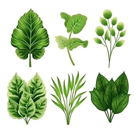 Premium Ai Image Leaf Set
