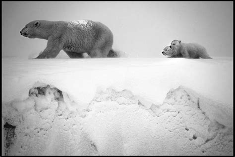 Christopher Pollon C Pollon Twitter